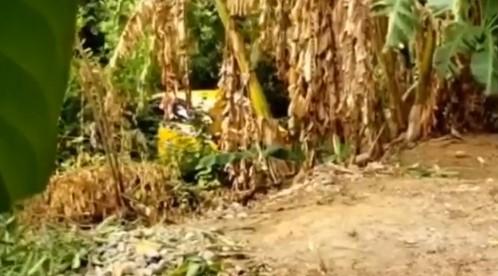 Hallan a taxista con un tiro en la cabeza