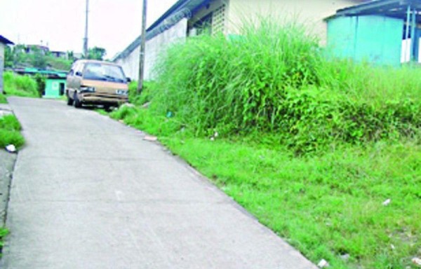 ‘Don Plin’ delicado