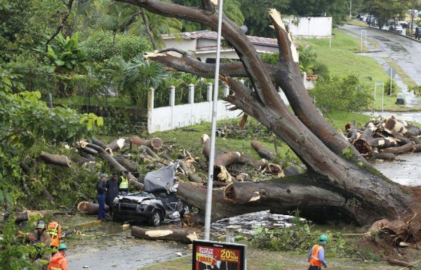 Árbol de corotú se llevó la vida de un menor inocente