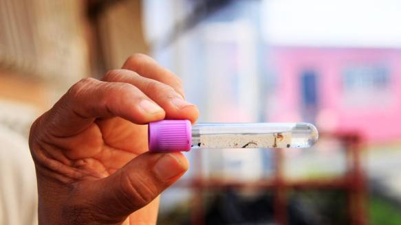 Dengue suma 2,581 casos y 328 hospitalizados