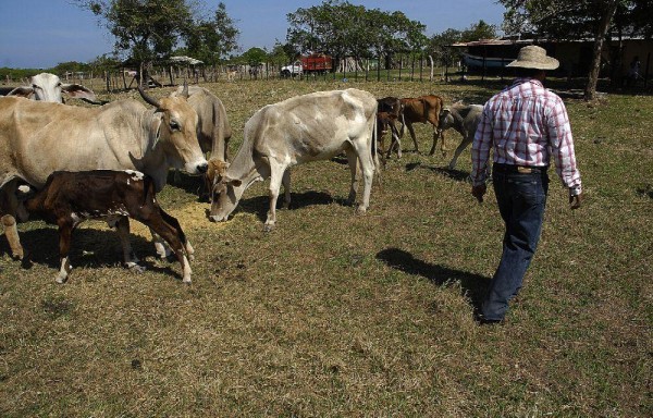 Se preparan para afrontar la época seca