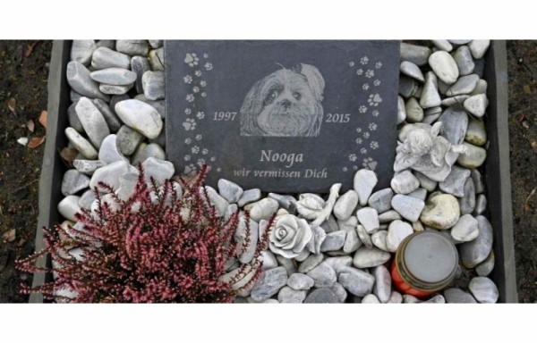 Insólito cementerio de perros que ofrece hasta ayuda psicológica