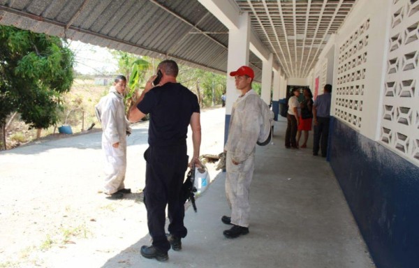 Abejas africanas atacan en escuela