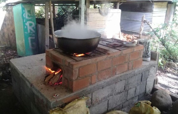 Estufas ecológicas son una gran alternativa