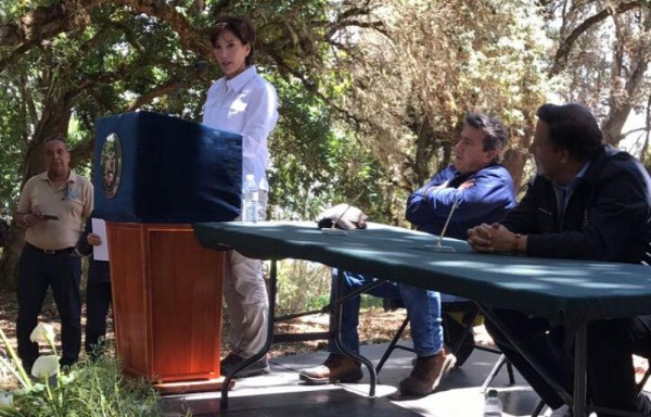 Mirei Endara, cuarta ministra que dimite del Gabinete