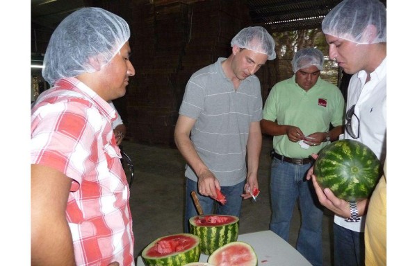 Precio de la piña, sandía y el melón por las nubes