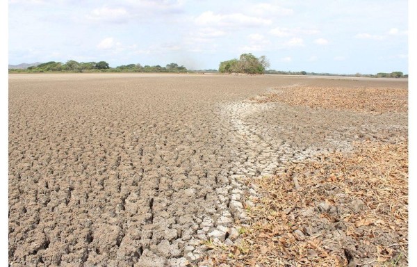 Continuará la sequía