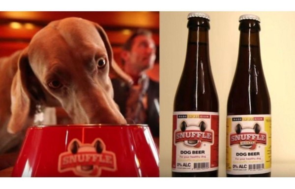 Crean cerveza para perros