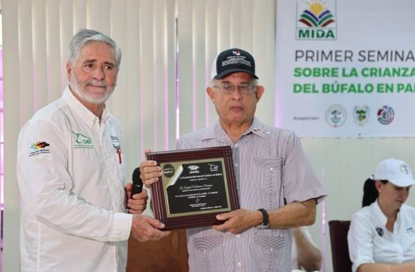 MIDA: Se estima que en Panamá hay unas 12 mil cabezas de ganado bufalino