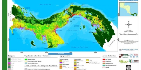 Avanza validación del Mapa de Cobertura Boscosa